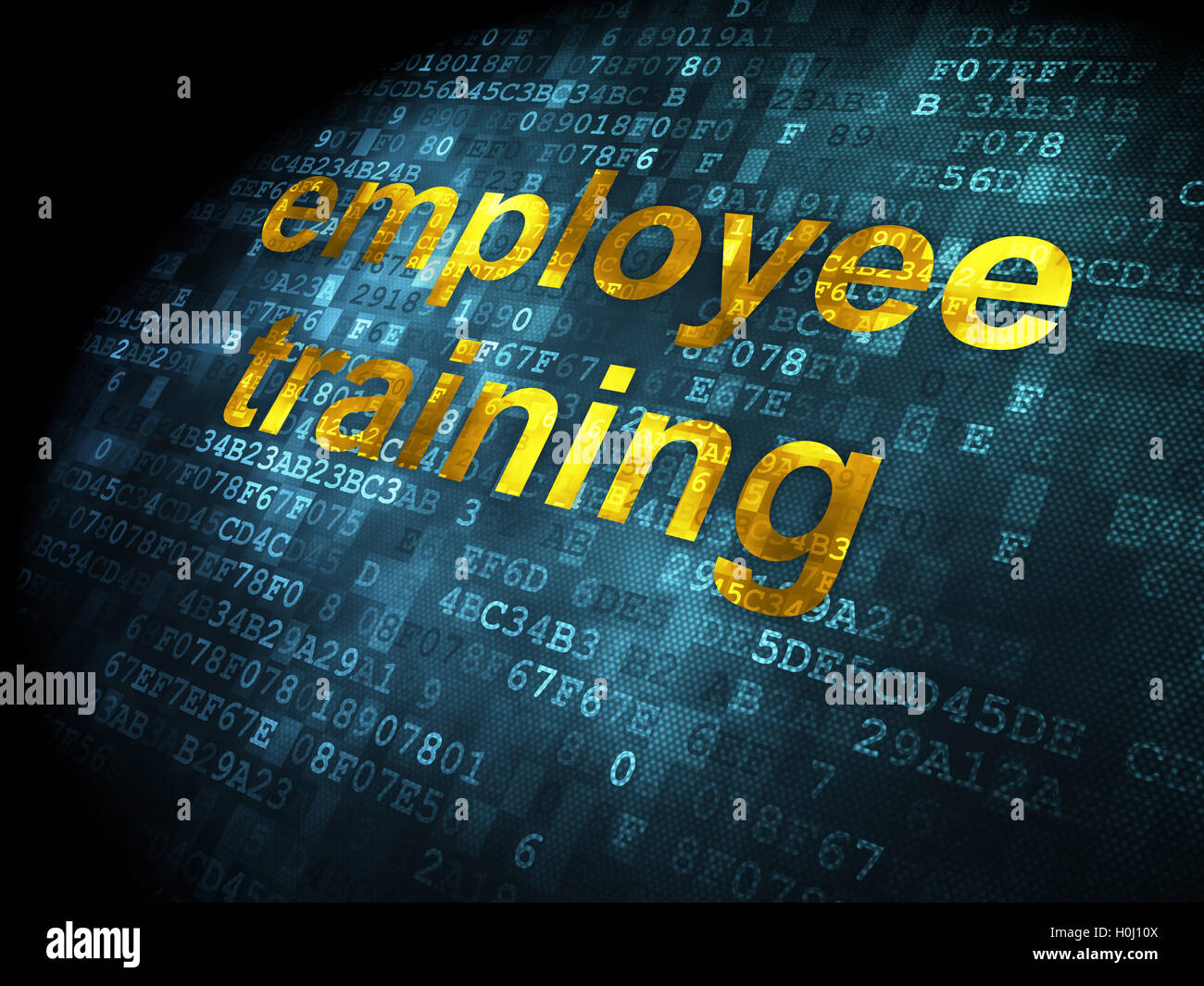 Education concept: Employee Training on digital background Stock Photo ...