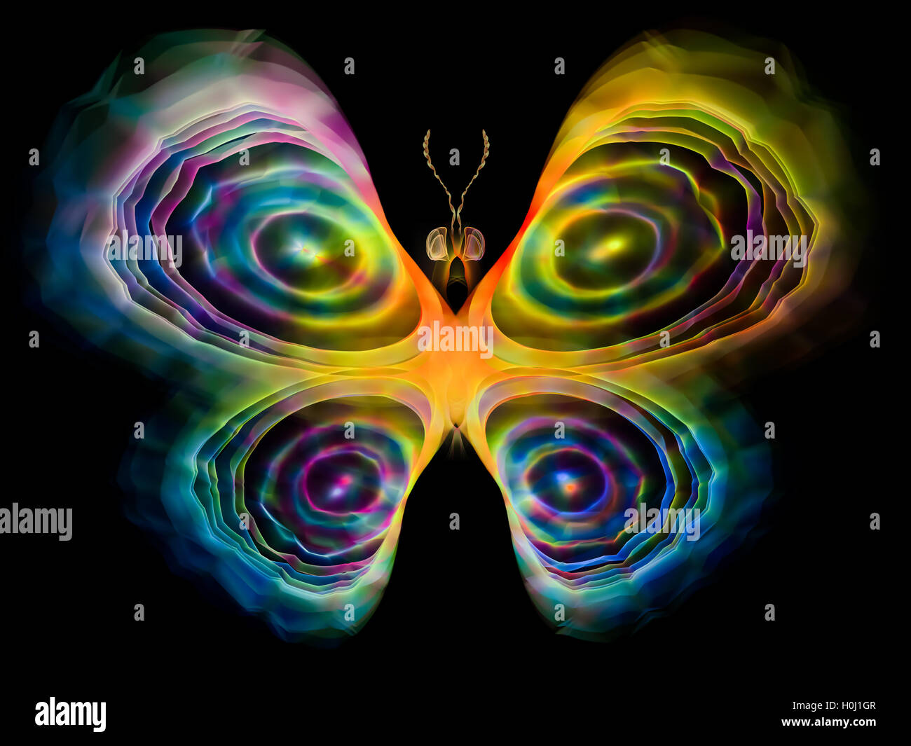 Special butterfly hi-res stock photography and images - Alamy