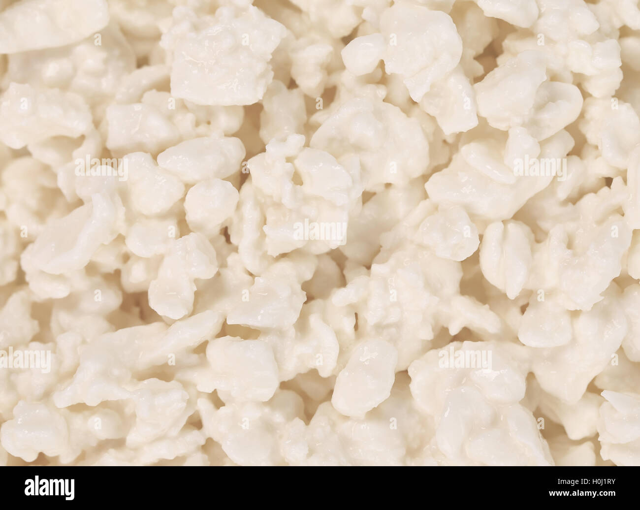 Close up of ottage cheese Stock Photo - Alamy