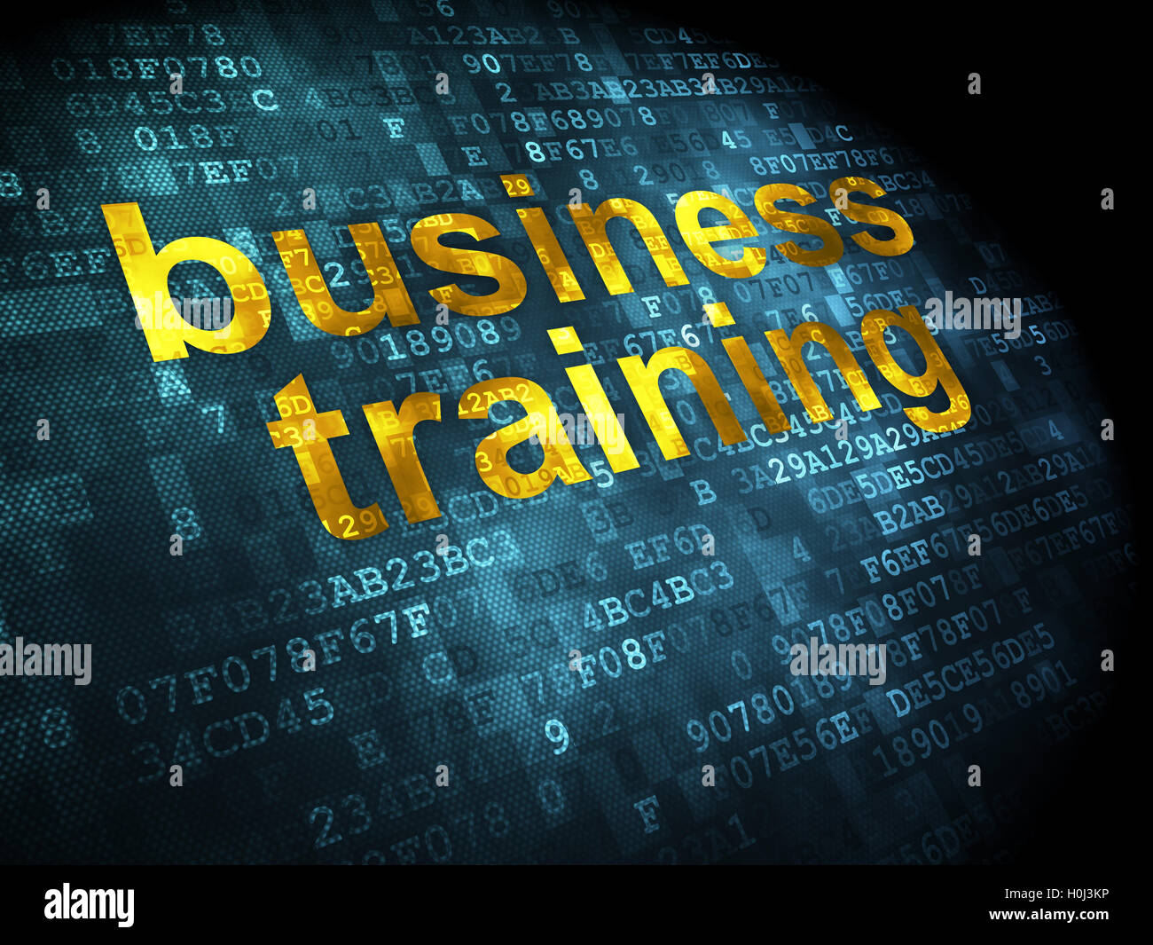 Education concept: Business Training on digital background Stock Photo ...