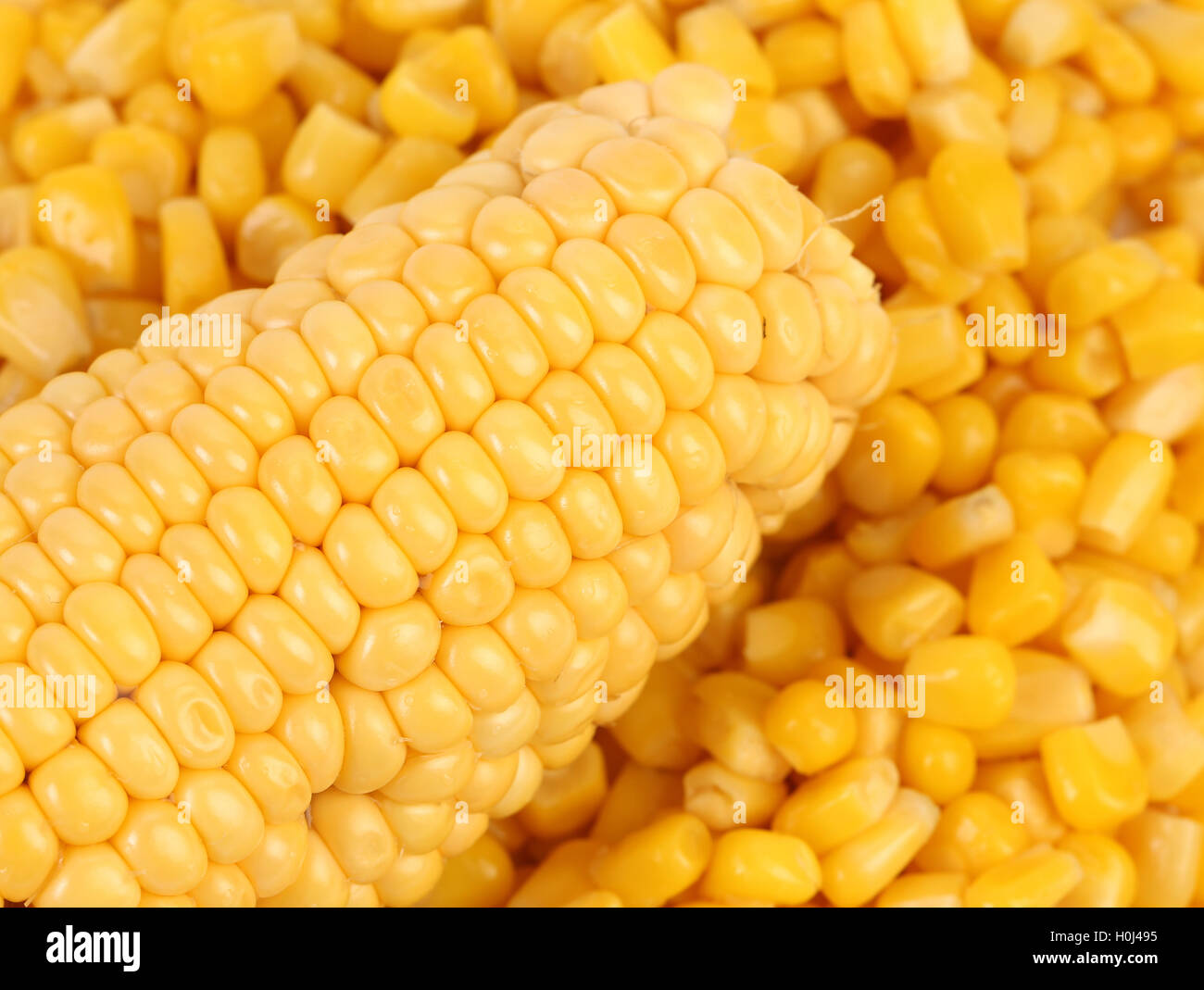 Corncobs and canned corns Stock Photo - Alamy