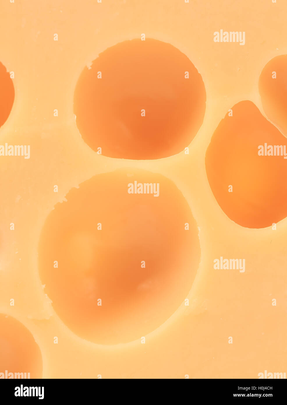 Close up of cheese texture Stock Photo - Alamy