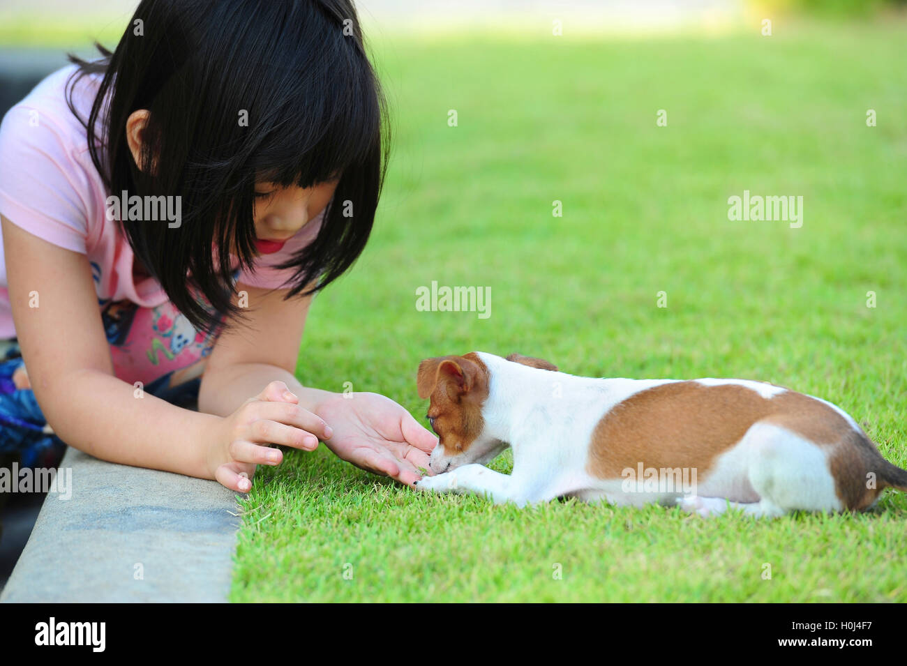 giving a dog snack Stock Photo - Alamy