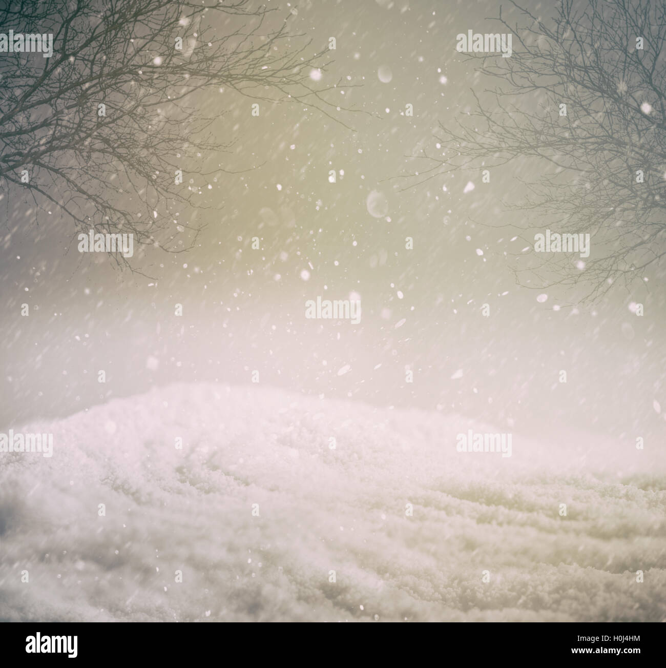 Snowy winter background Stock Photo - Alamy