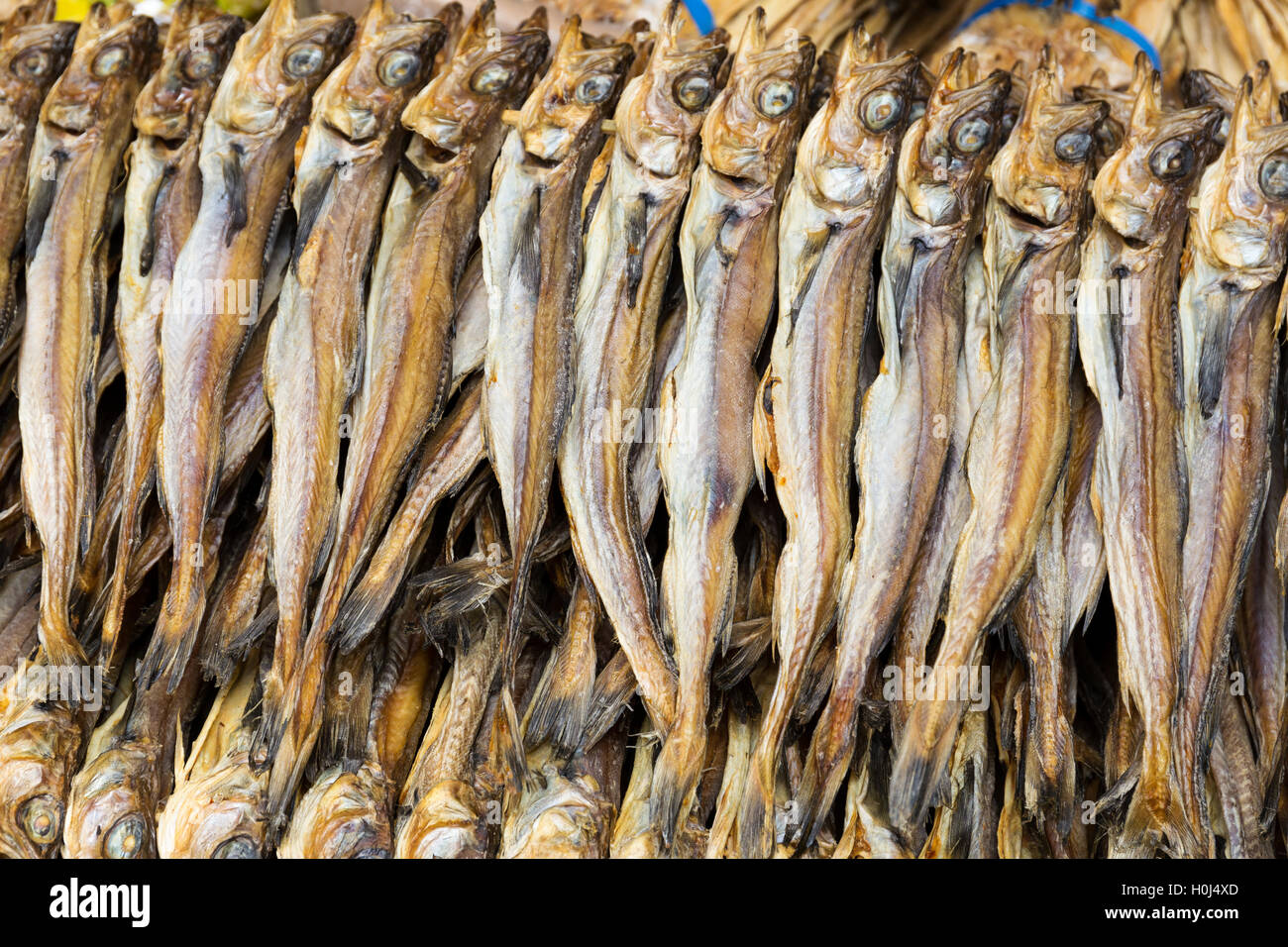 Asian salty fish Stock Photo - Alamy