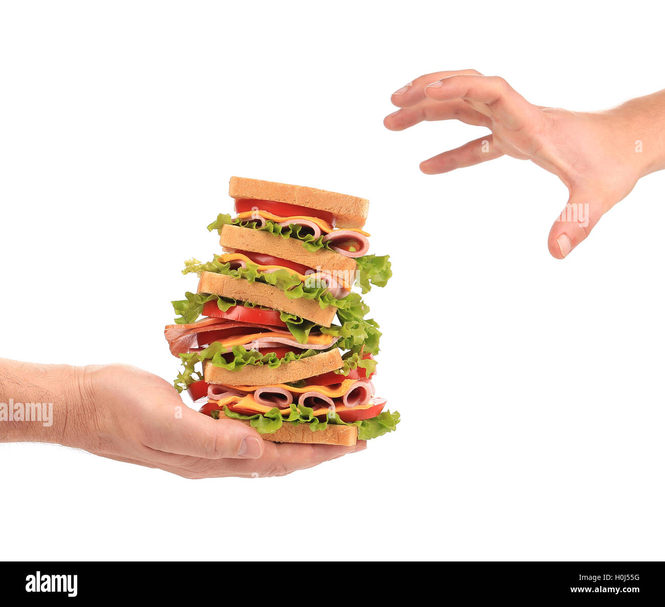 Big fresh sandwich in hands Stock Photo - Alamy