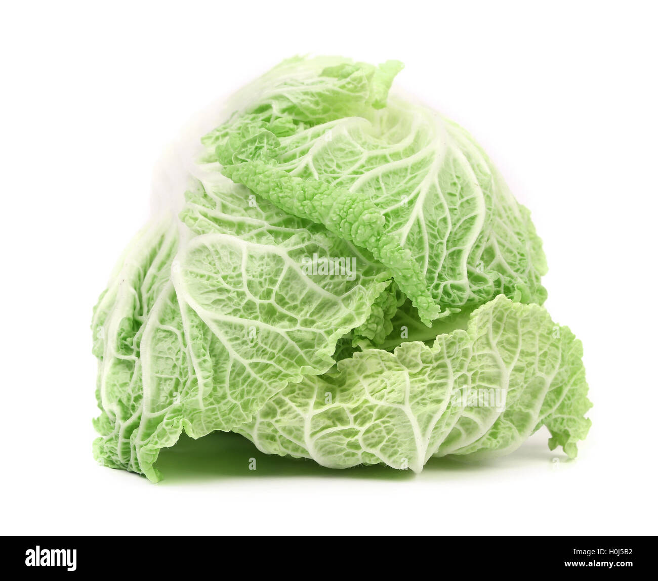 Cabbage chinese structure cabbage hi-res stock photography and images ...