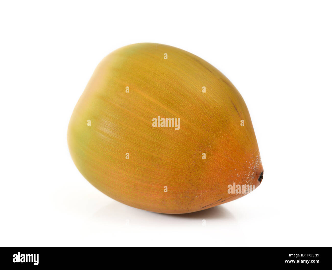 Small coconut Cut Out Stock Images & Pictures - Alamy