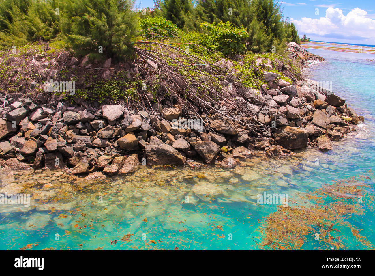 Turquoise exotic lagoon with big stones at Seychelles Stock Photo - Alamy