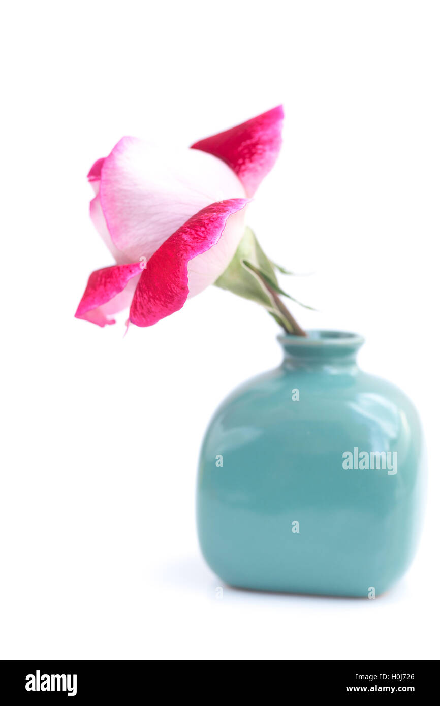 Unusual view angle Cut Out Stock Images & Pictures - Alamy