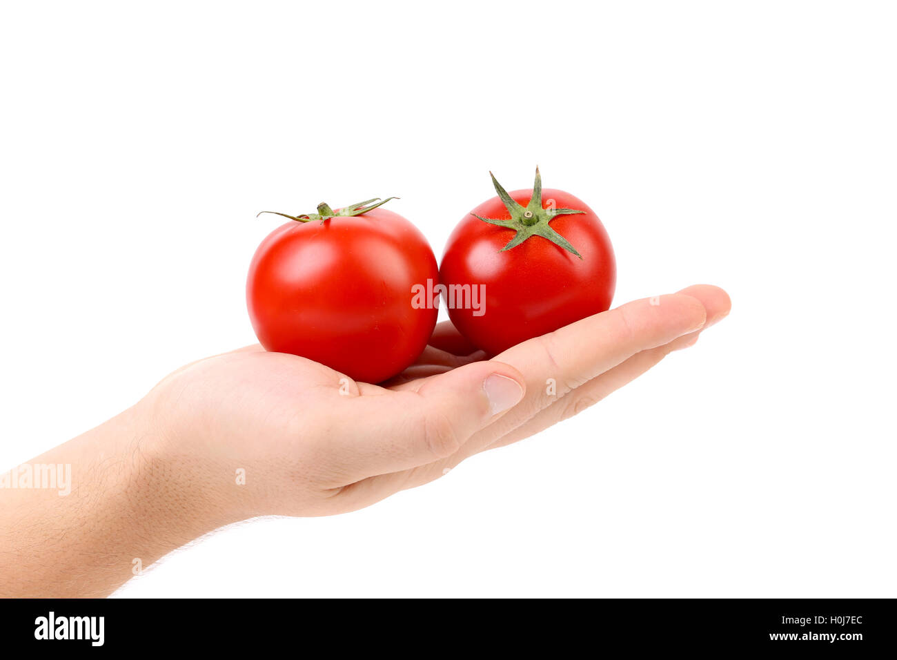 Two fresh tomato on hand Stock Photo - Alamy