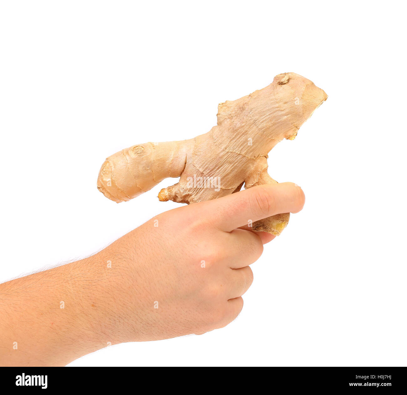 Hand holding ginger root Stock Photo - Alamy