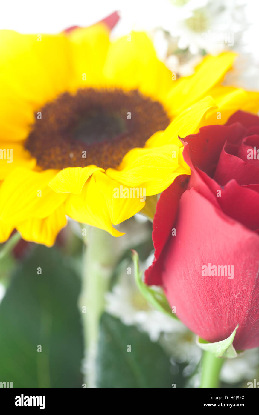 bouquet of red roses and sunflower in a vase Stock Photo - Alamy