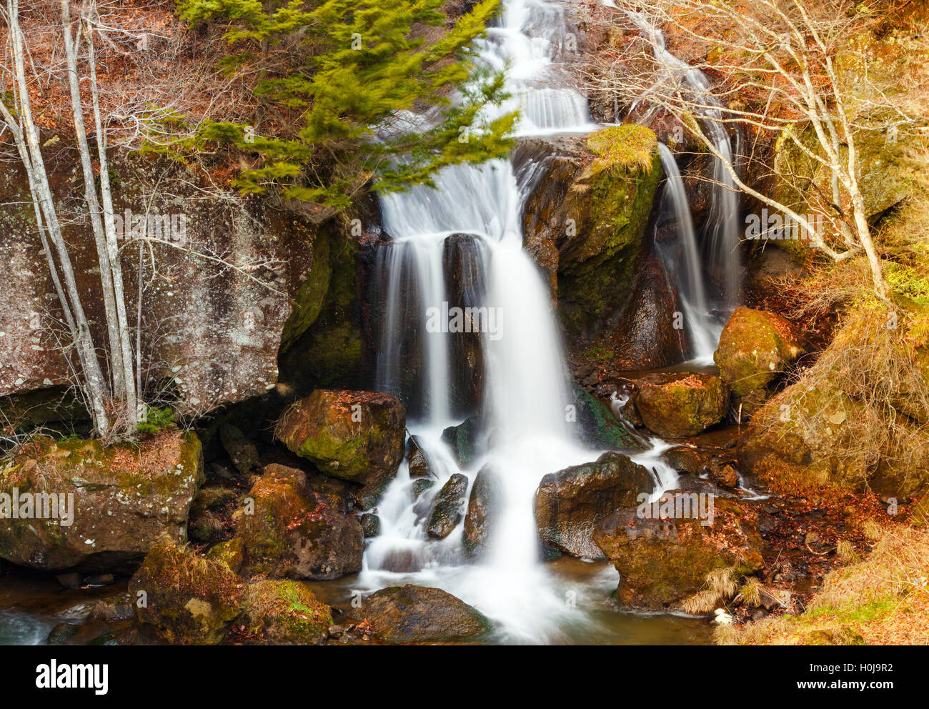 Waterfall in forest Stock Photo - Alamy
