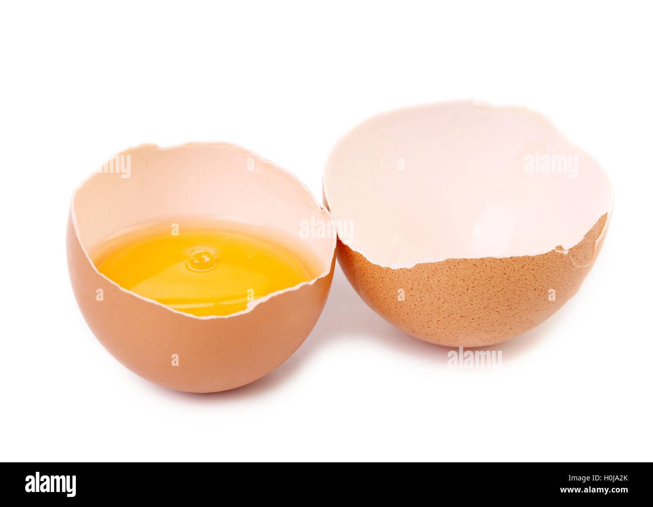 Close up of broken egg Stock Photo - Alamy