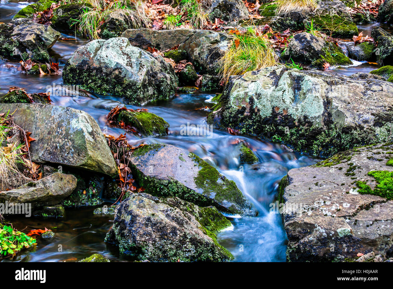 A beautiful stream of water on a autumn day Stock Photo - Alamy
