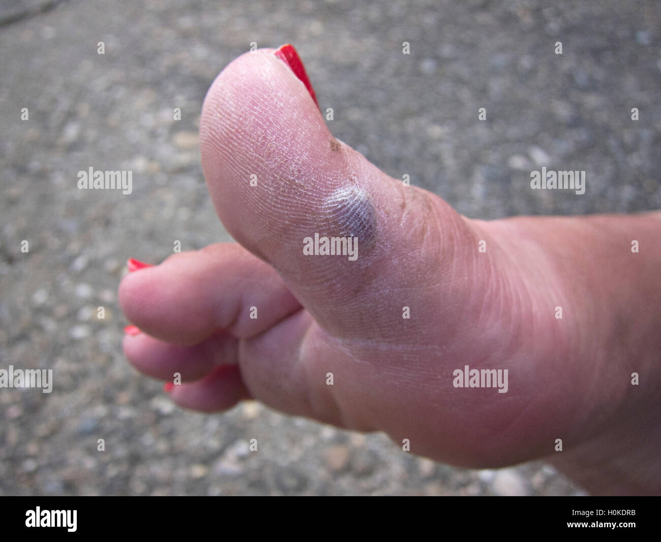 Camino De Santiago Pilgrimage On Foot High Resolution Stock Photography ...
