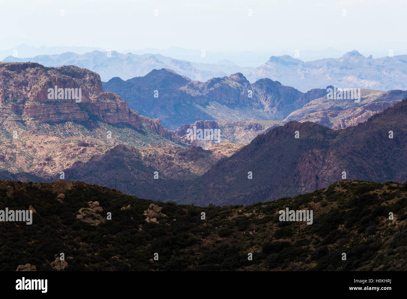 Sprawled out hi-res stock photography and images - Alamy