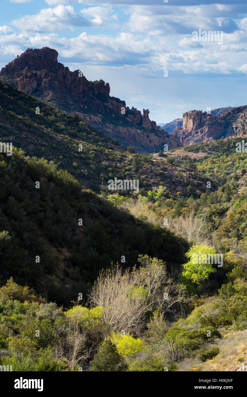 Oak canyon ranch hi-res stock photography and images - Alamy
