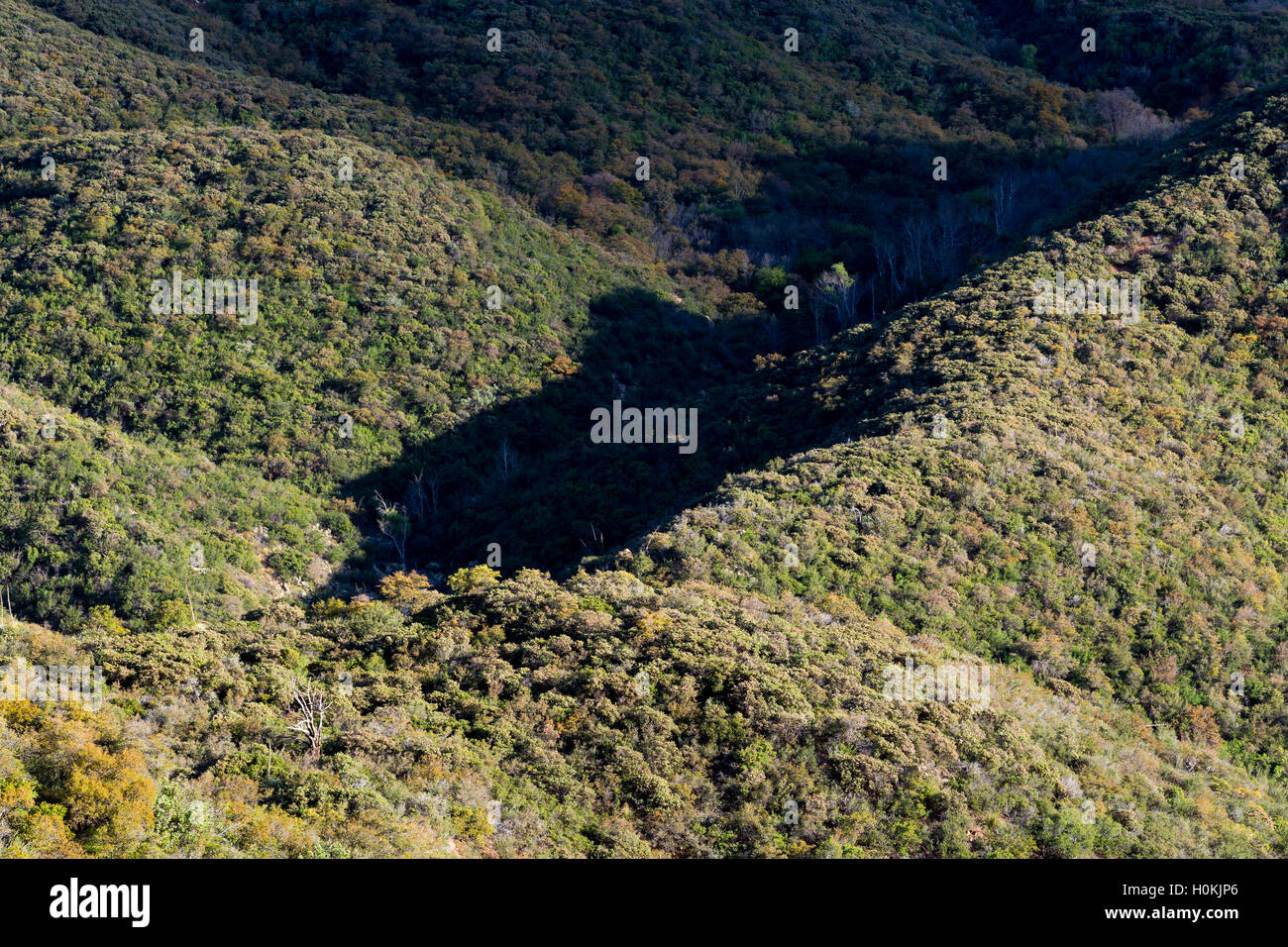 A shaded canyon along the Reavis Ranch Trail in the Superstition ...