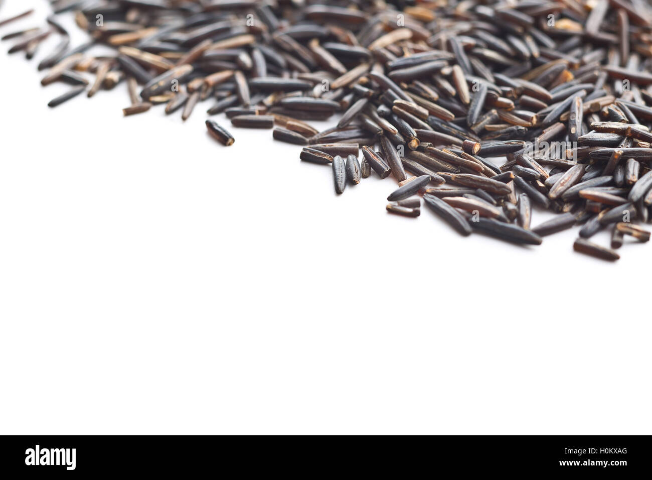 The wild rice isolated on white background Stock Photo - Alamy