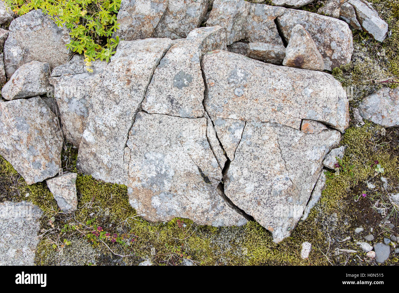 Frost leaves Destructive Patterns in a Stone, Iceland Stock Photo - Alamy