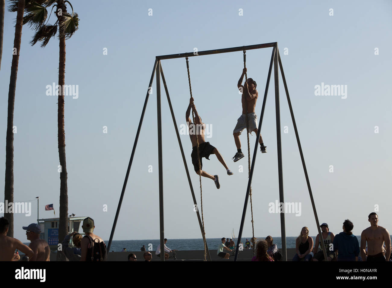 climbing ropes, Venice Beach, Venice, Los Angeles, California, USA ...