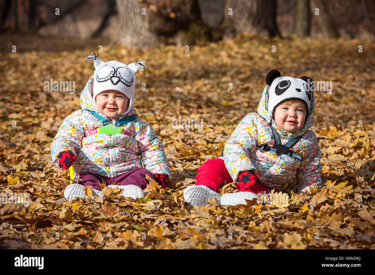 The two little baby girls sitting in autumn leaves Stock Photo - Alamy