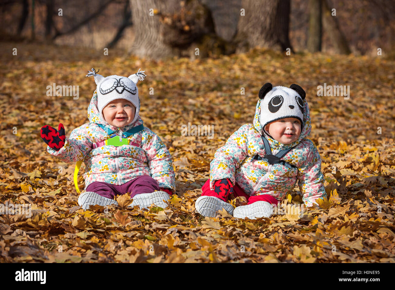 The two little baby girls sitting in autumn leaves Stock Photo - Alamy