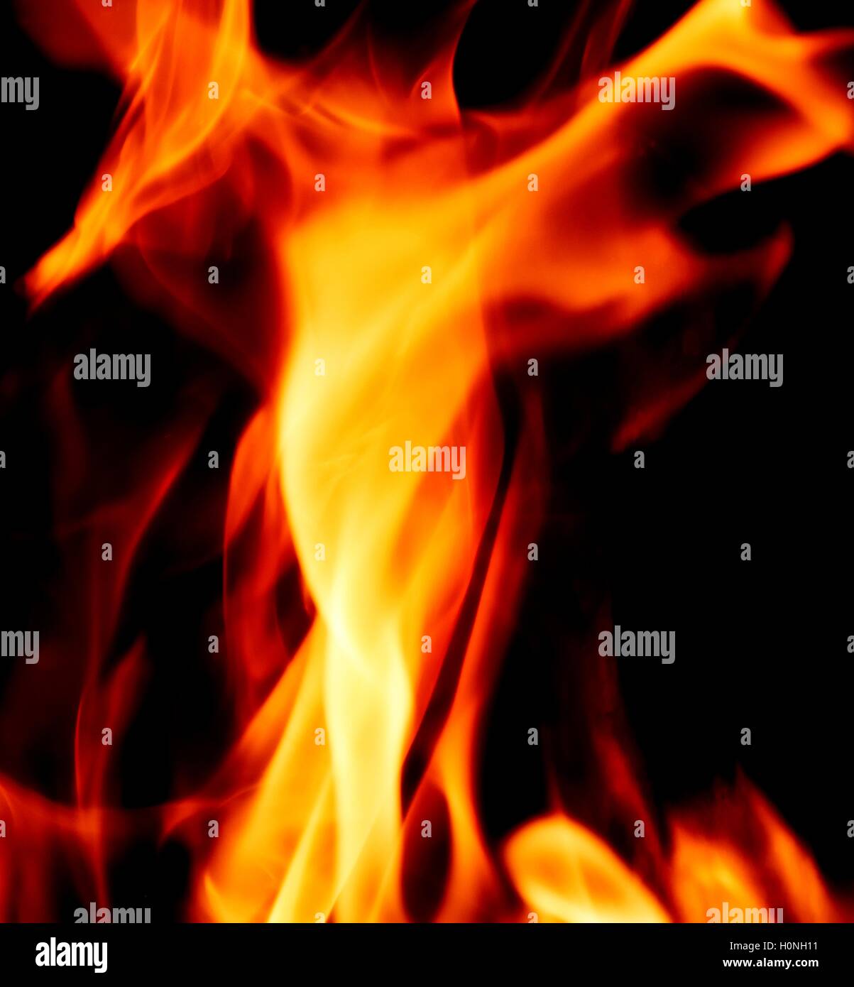 a bird in the fire Stock Photo - Alamy