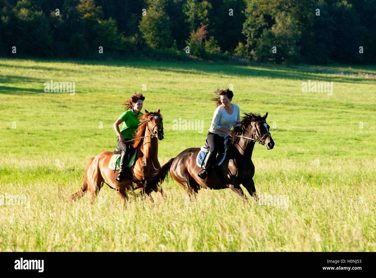 Women riding horseback rider hi-res stock photography and images - Alamy