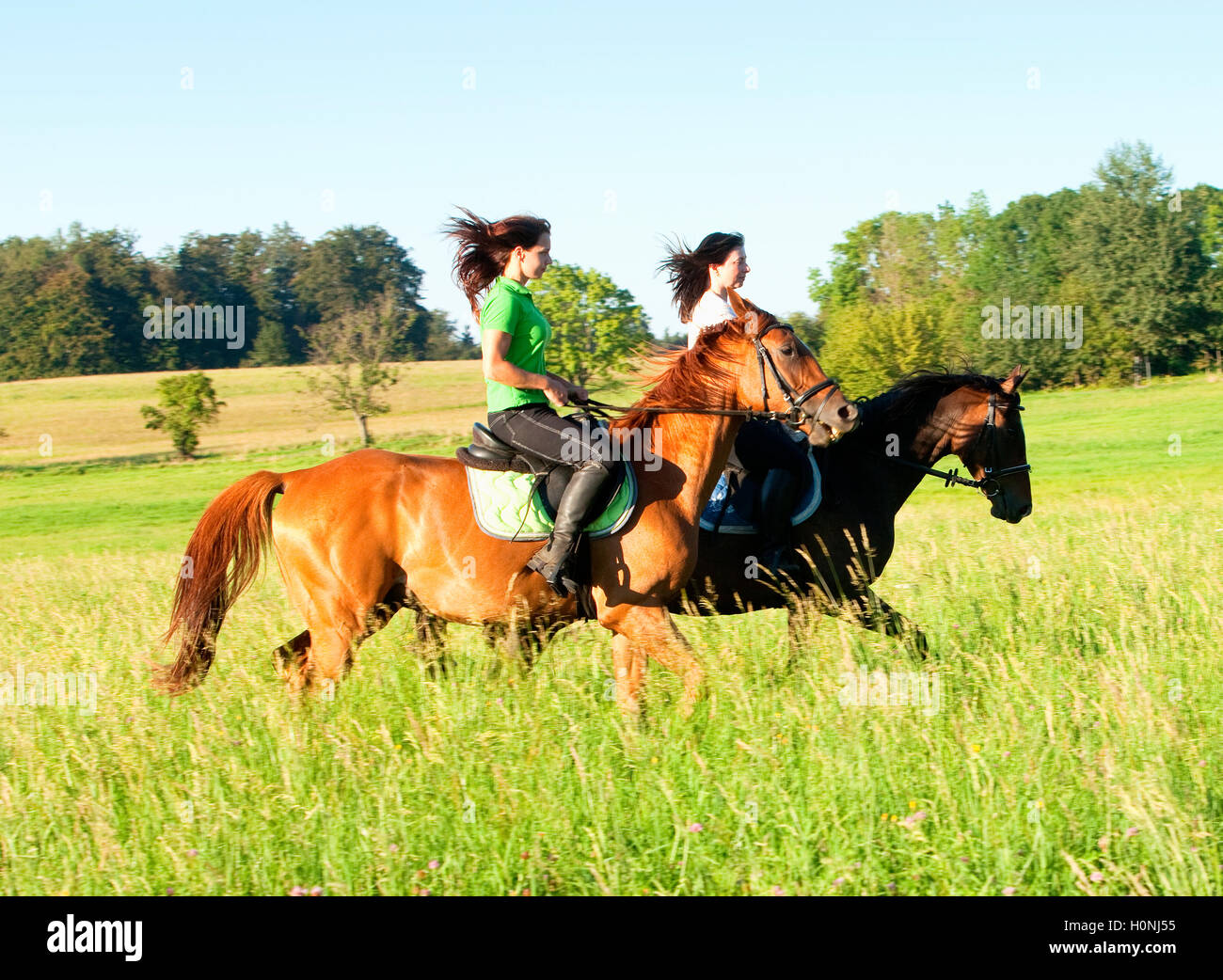 Two Women Horseback Riding in a Landscape Stock Photo - Alamy
