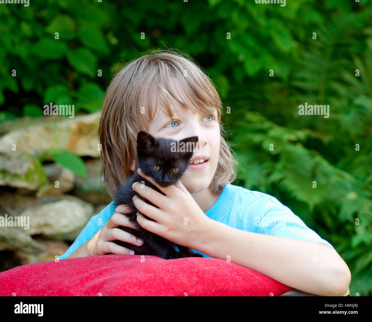 Child holding cat hi-res stock photography and images - Alamy