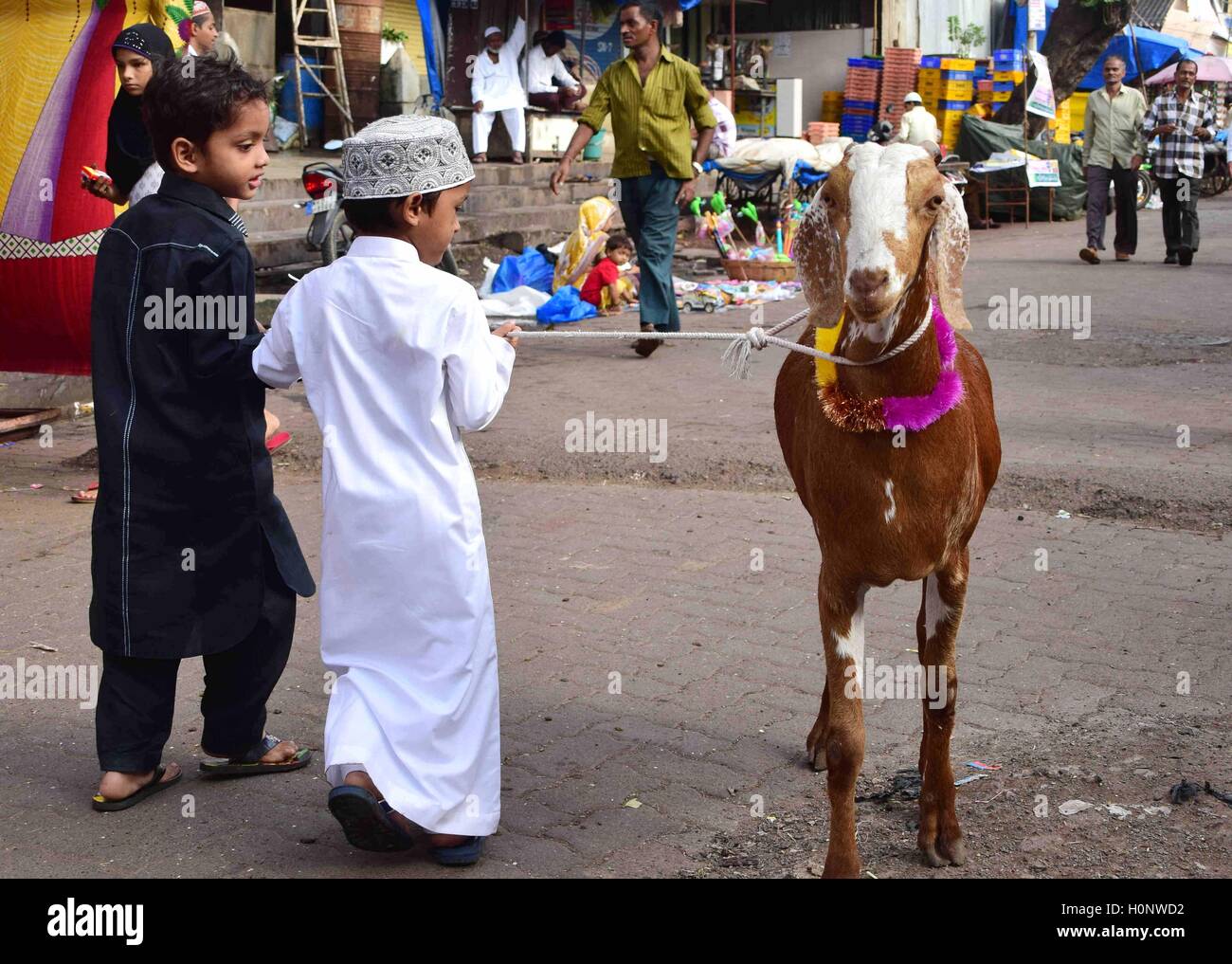 Muslim boys lead sacrificial goat after offering prayer while ...
