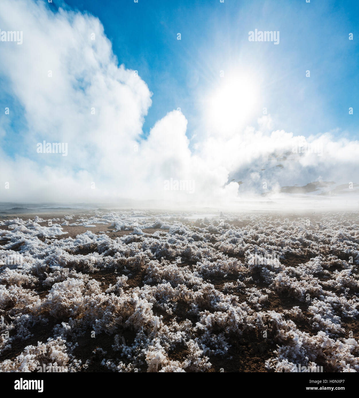 Encrusted soil with ice crystals, steam behind, geothermal area ...