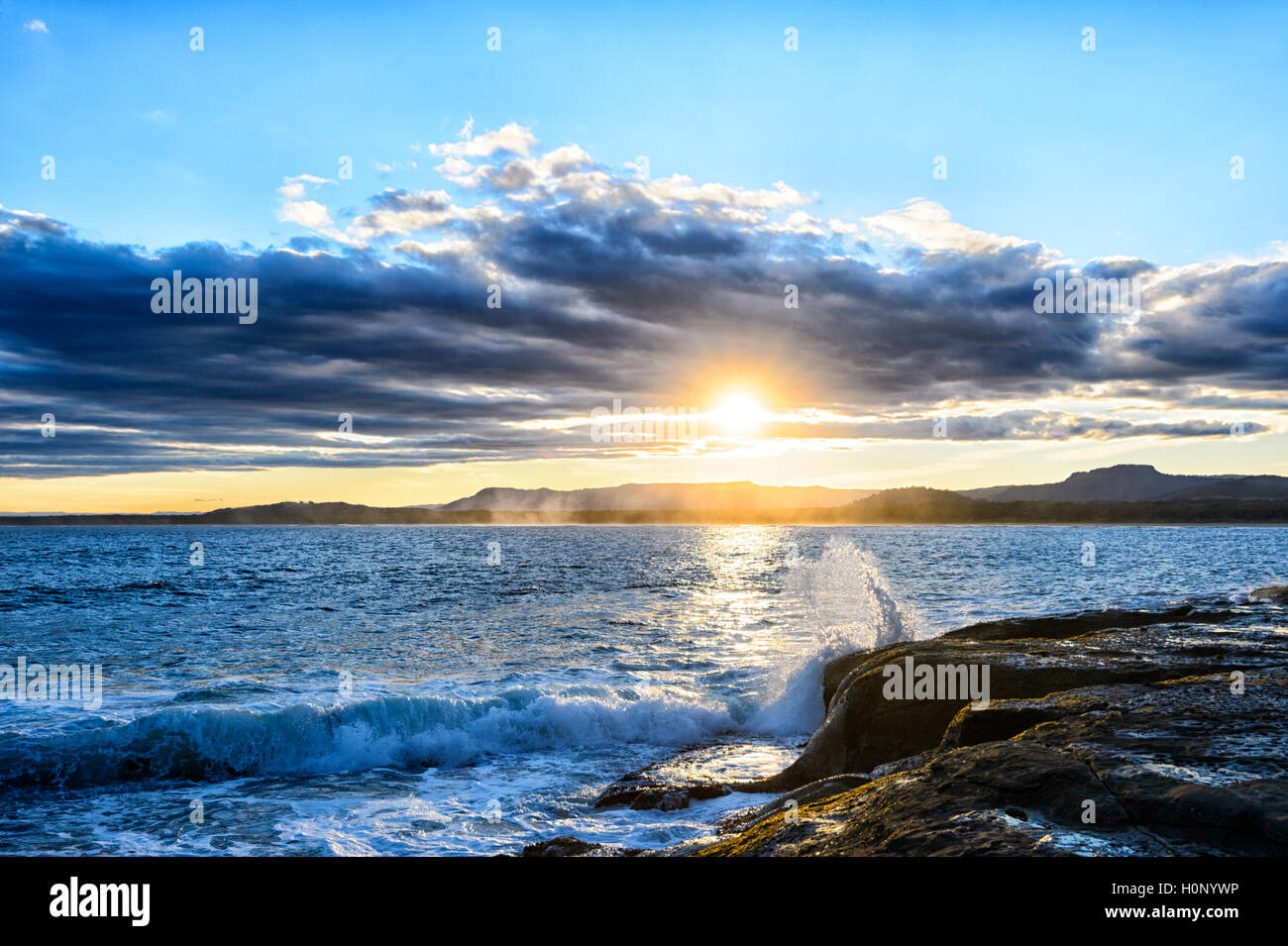 Black head nsw hi-res stock photography and images - Alamy
