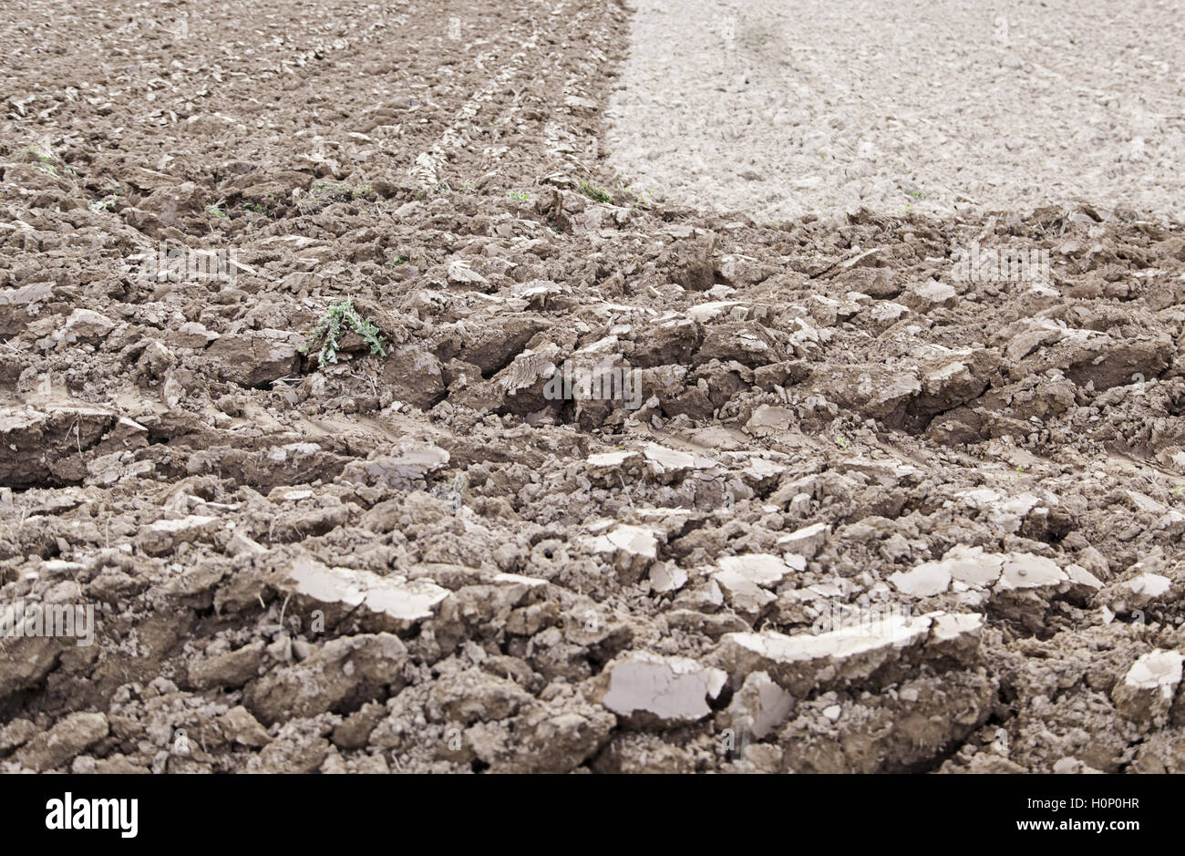 Plowed field agriculture to harvest, nature Stock Photo - Alamy