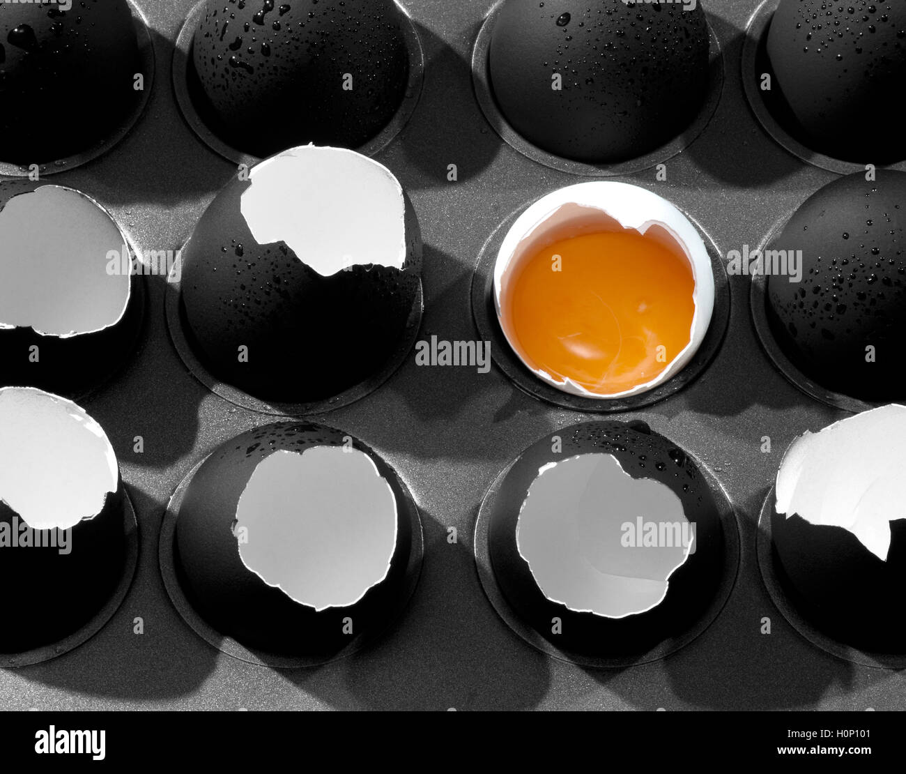 still life of eggs, empty black shells and one cracked white one ...