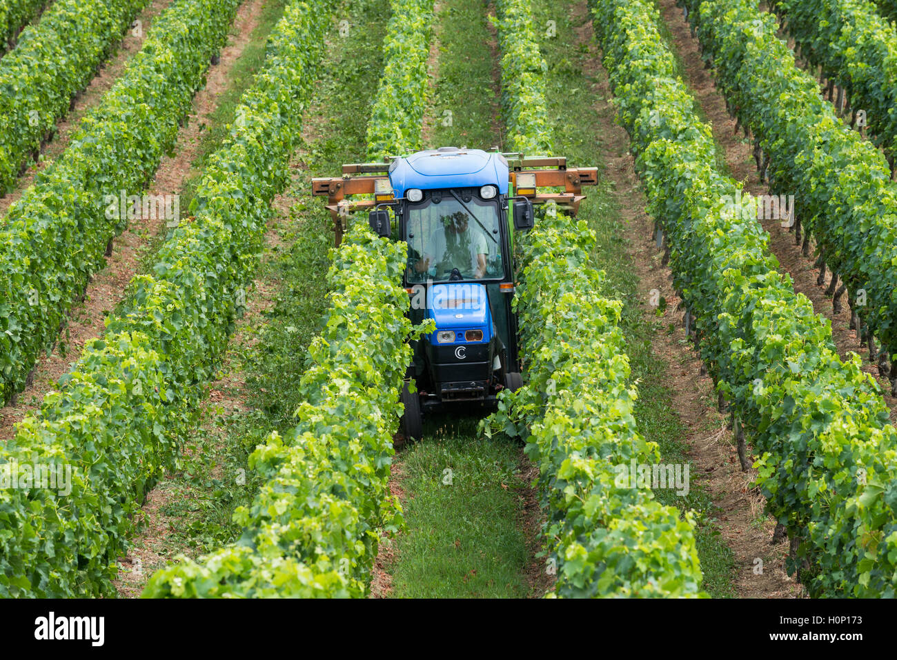Vine machines hi-res stock photography and images - Alamy