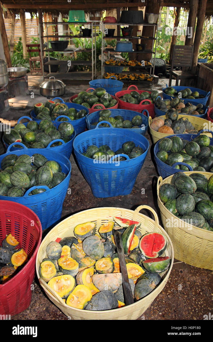 Baskets of Melons To Feed The Rescued Elephants at Elephant Nature Park ...