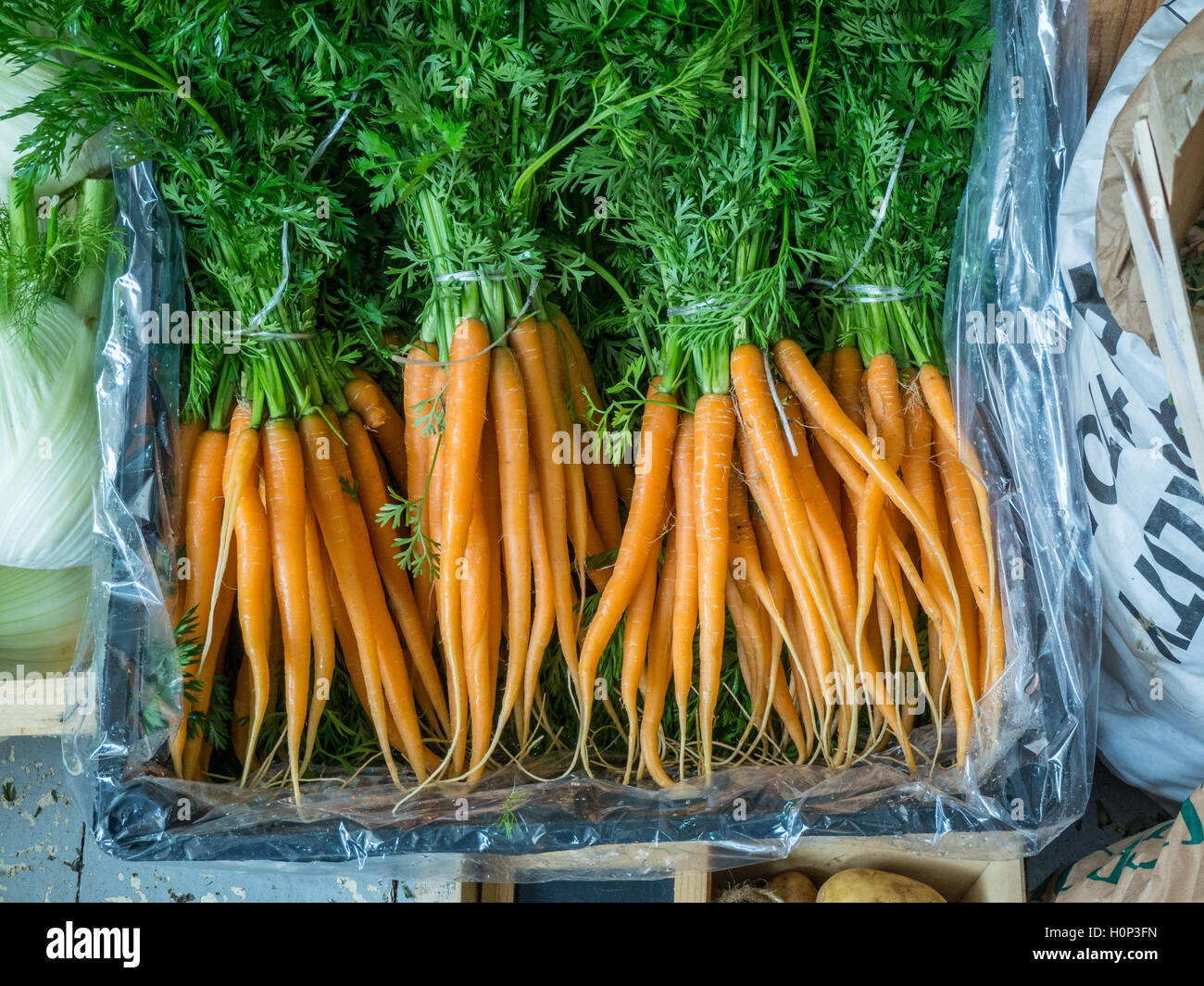 Fresh young organic carrots hi-res stock photography and images - Alamy