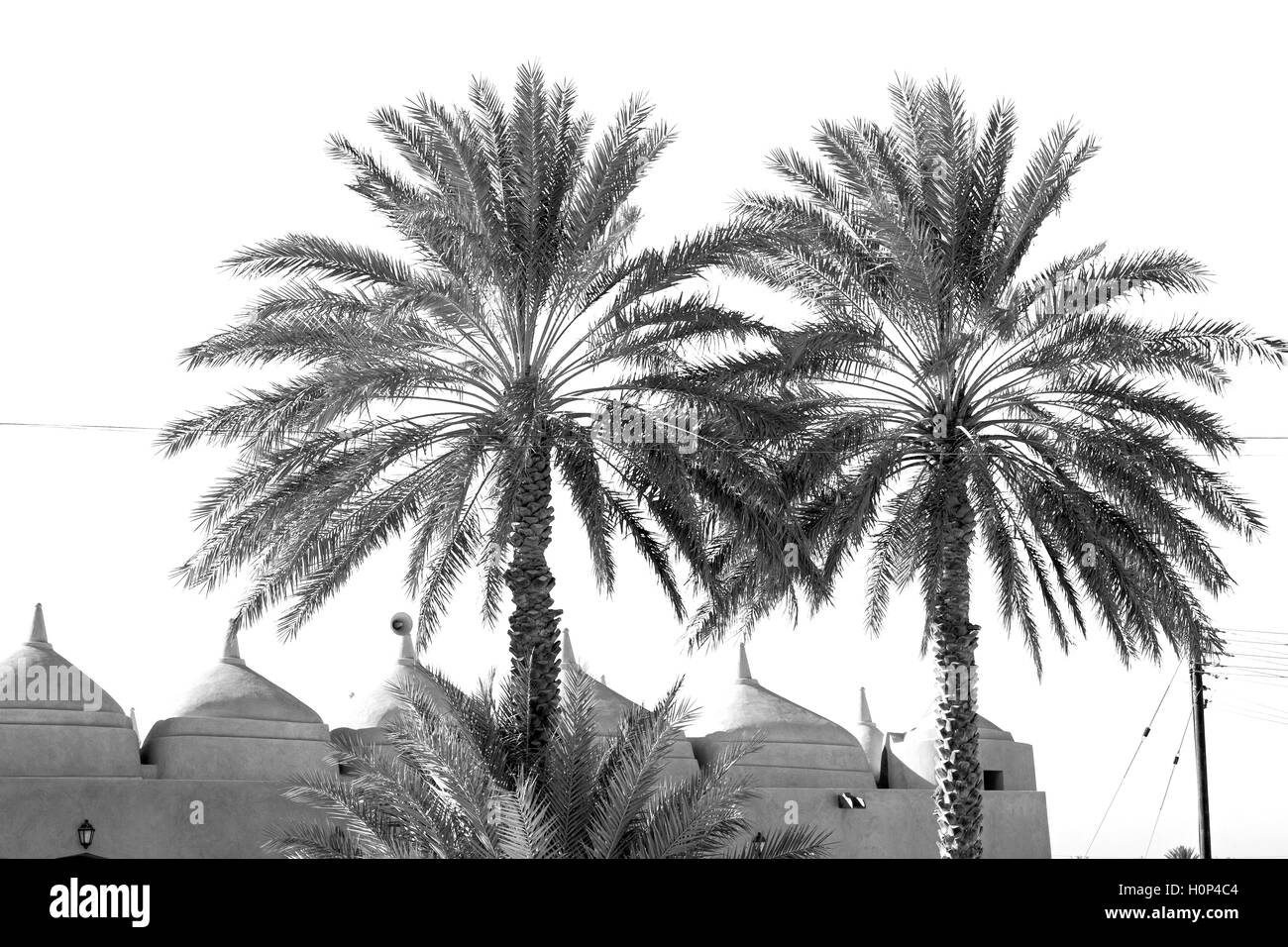 minaret and religion in clear sky in oman muscat the old mosque Stock ...
