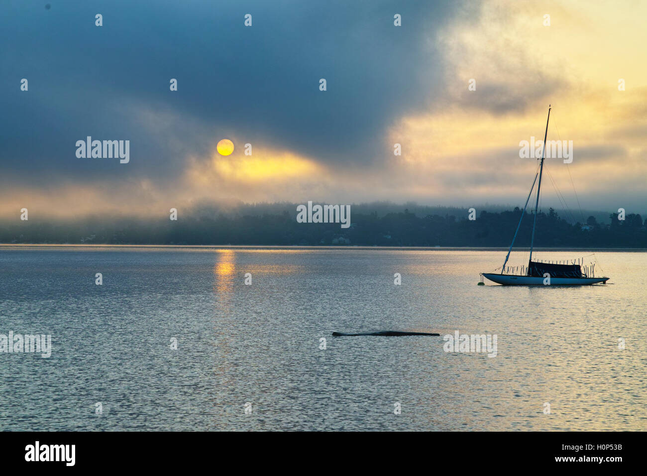 Partly covered hi-res stock photography and images - Alamy