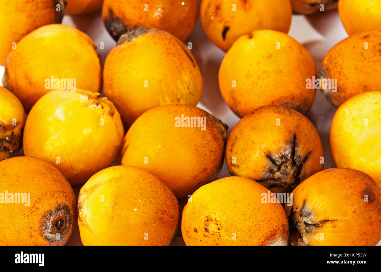 Studio shot extreme close up of collection of natural ripe orange palm ...