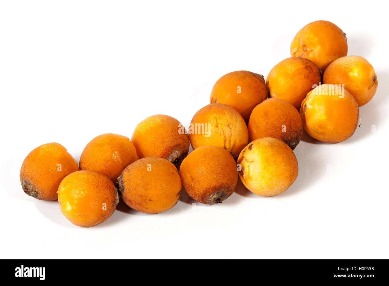 Studio shot close up of collection of natural ripe orange palm dates on ...
