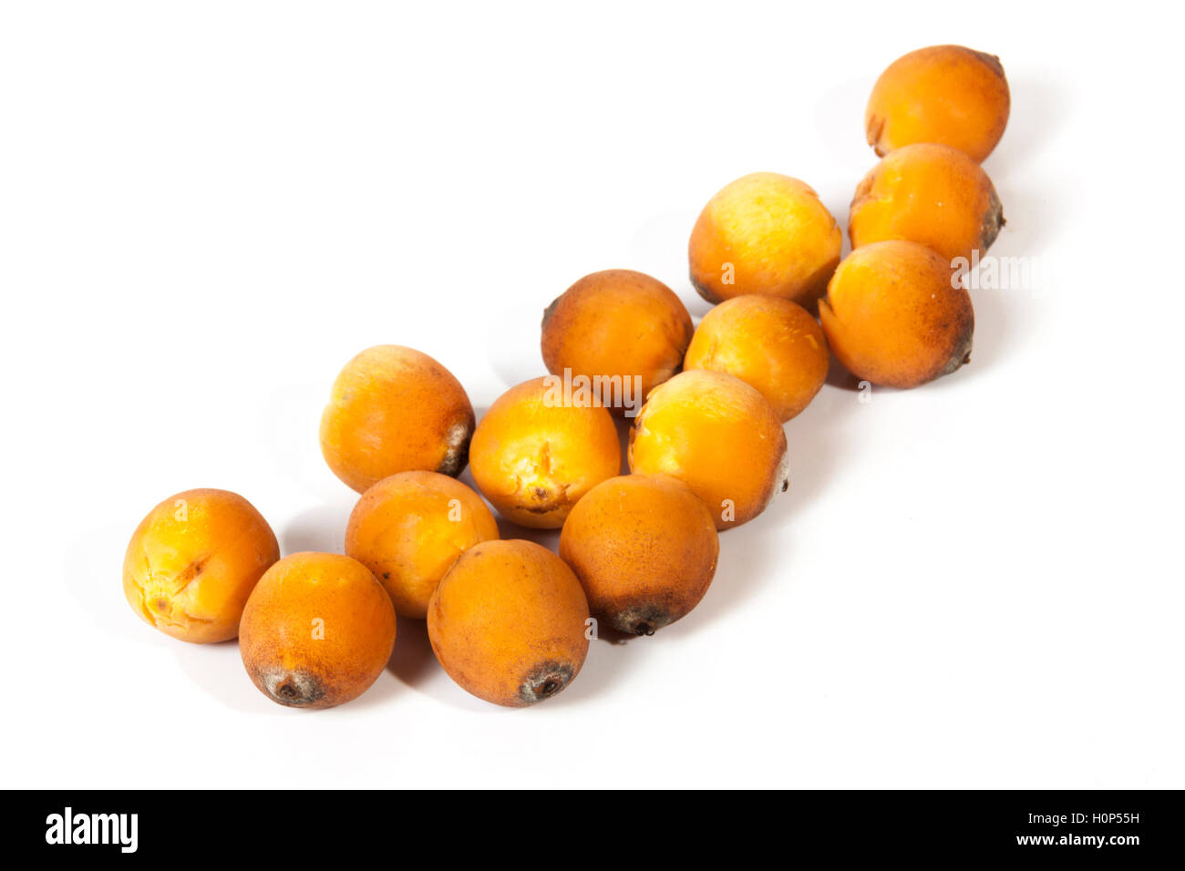 Studio shot close up of collection of natural ripe orange palm dates on ...