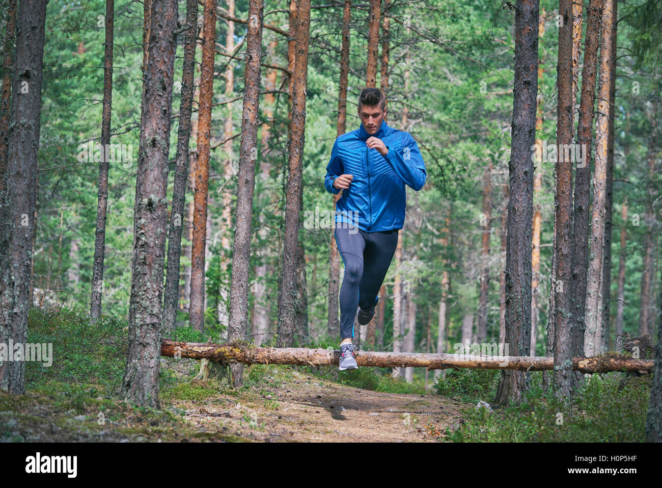 Man jumping from tree hi-res stock photography and images - Alamy