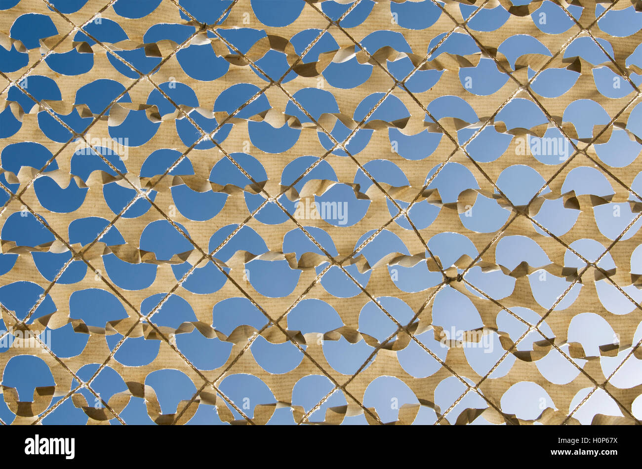 Camo camoflage camouflage hi-res stock photography and images - Alamy