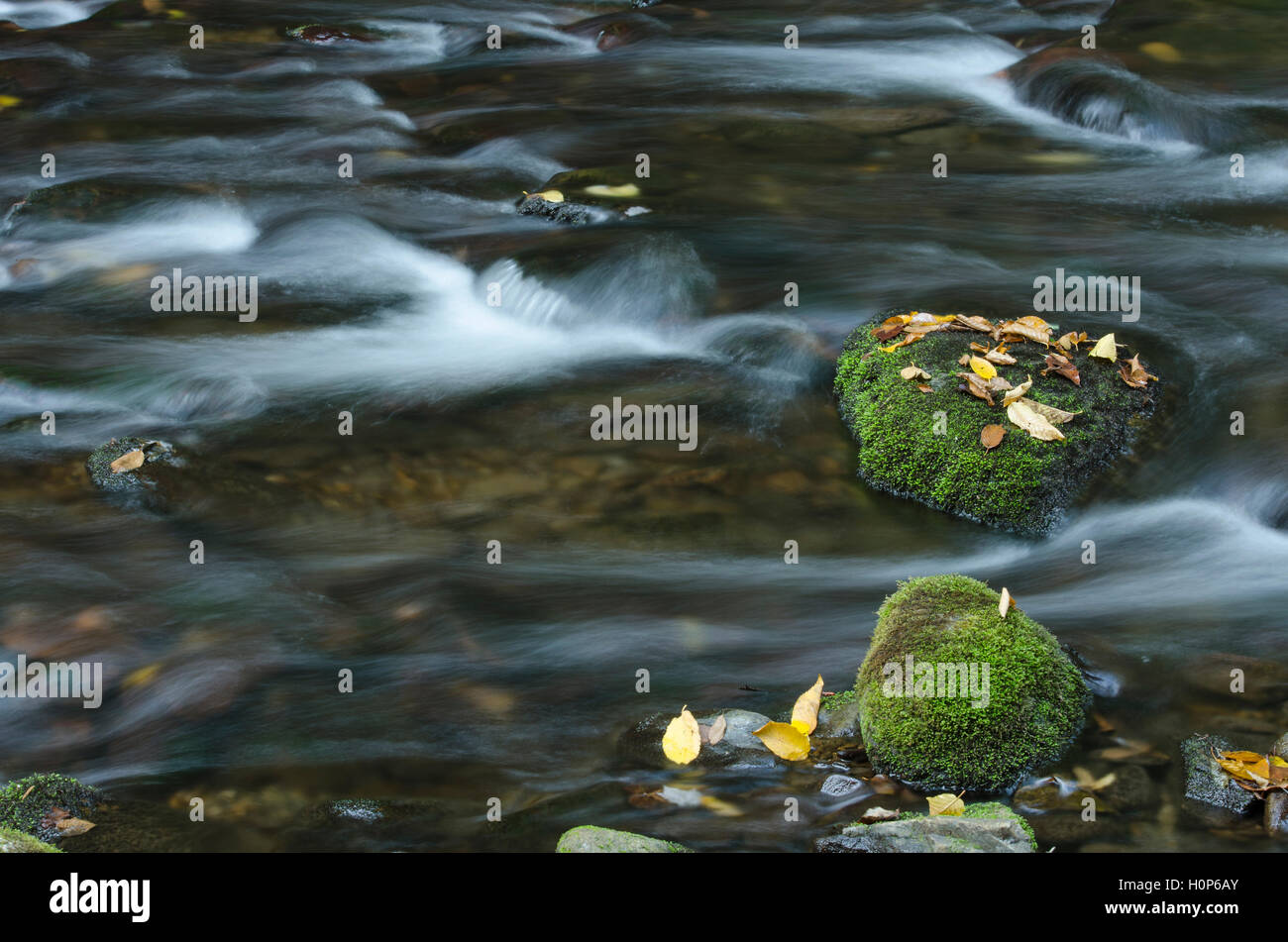 Mossy Rocks on creek bed in North Carolina's Great Smoky Mountains ...