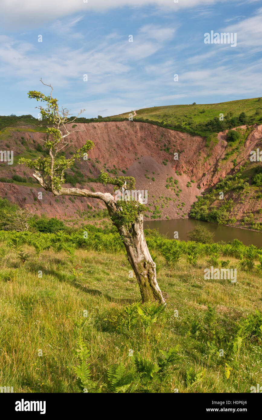 Triscombe quarry hi-res stock photography and images - Alamy
